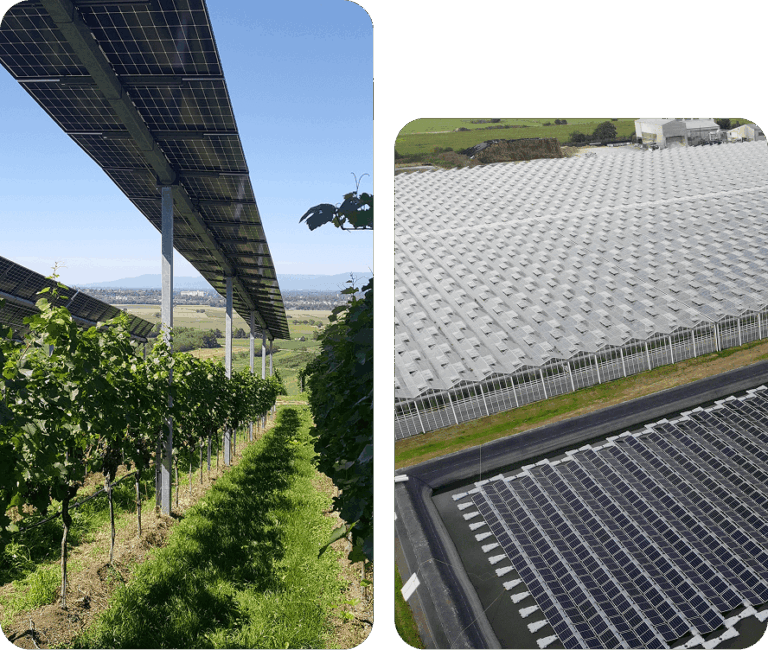 Home - Intech | Clean Energy