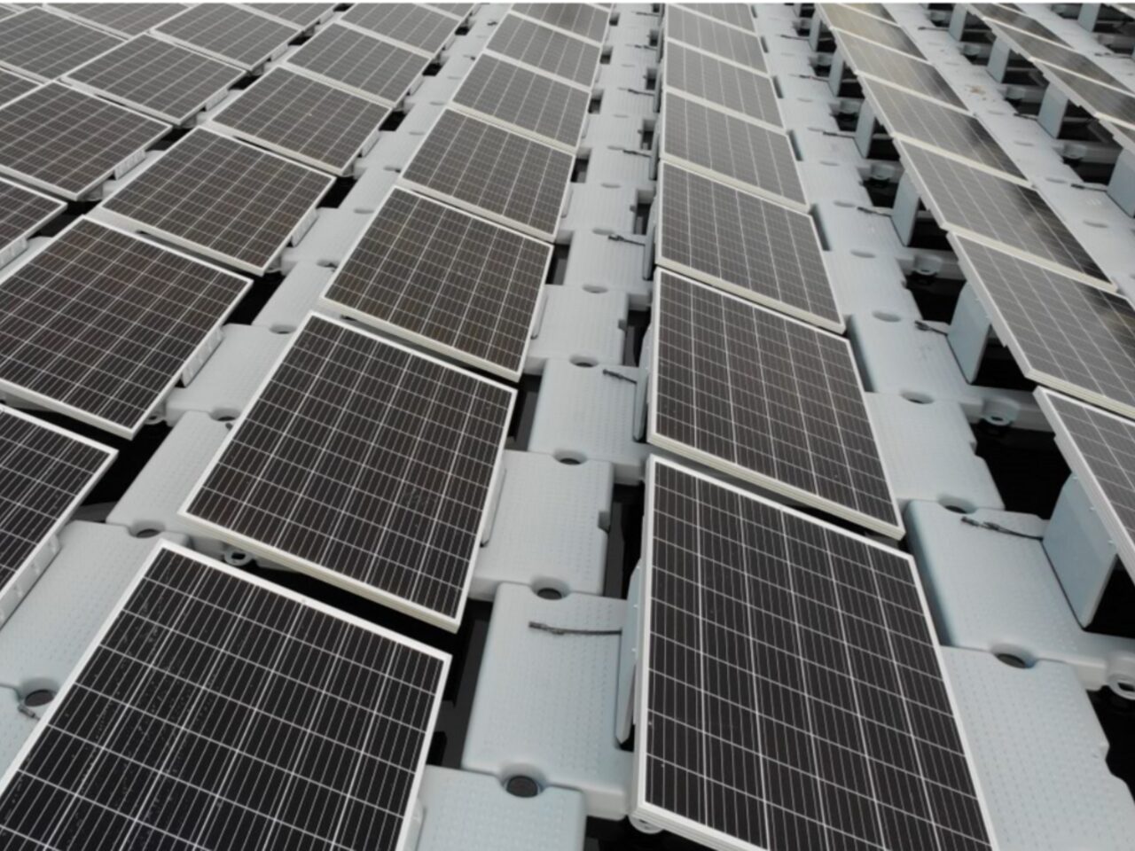 Floating solar installation to reduce algae growth - Intech | Clean Energy