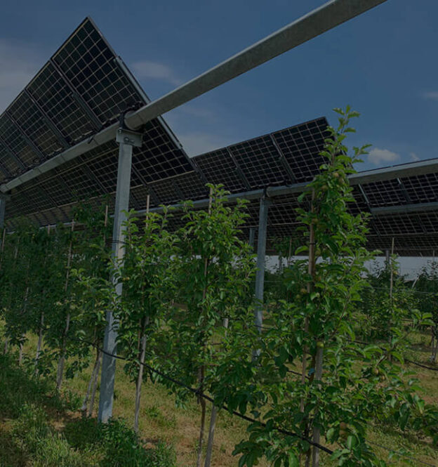 Home - Intech | Clean Energy